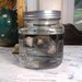 Wet Eastern Mole/wet Specimen/glass Jar - Etsy