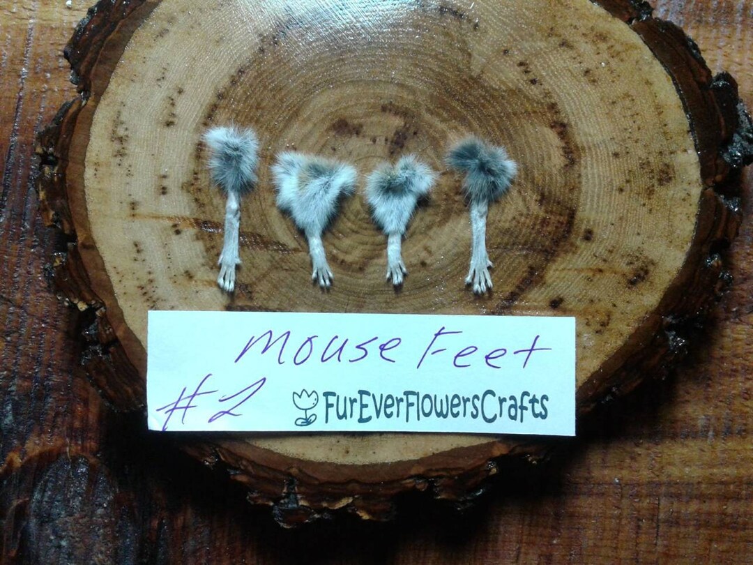 Mouse Feet/4 Wild Feild Mouse Feet/mouse Foot - Etsy