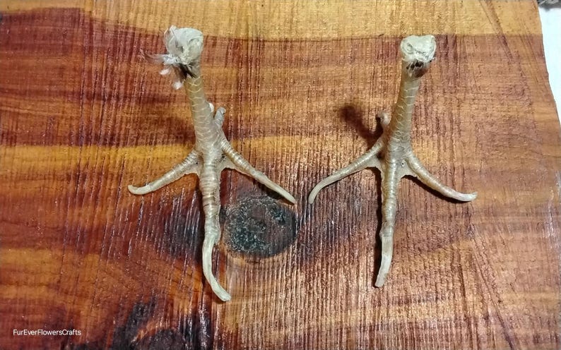 Real Chicken Feet/real/bird Feet/chicken Claws/chicken Foot/bird Claws ...