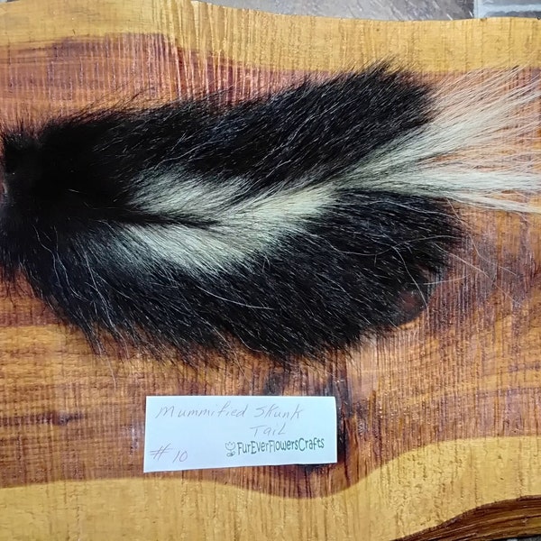 Skunk Tail - Etsy