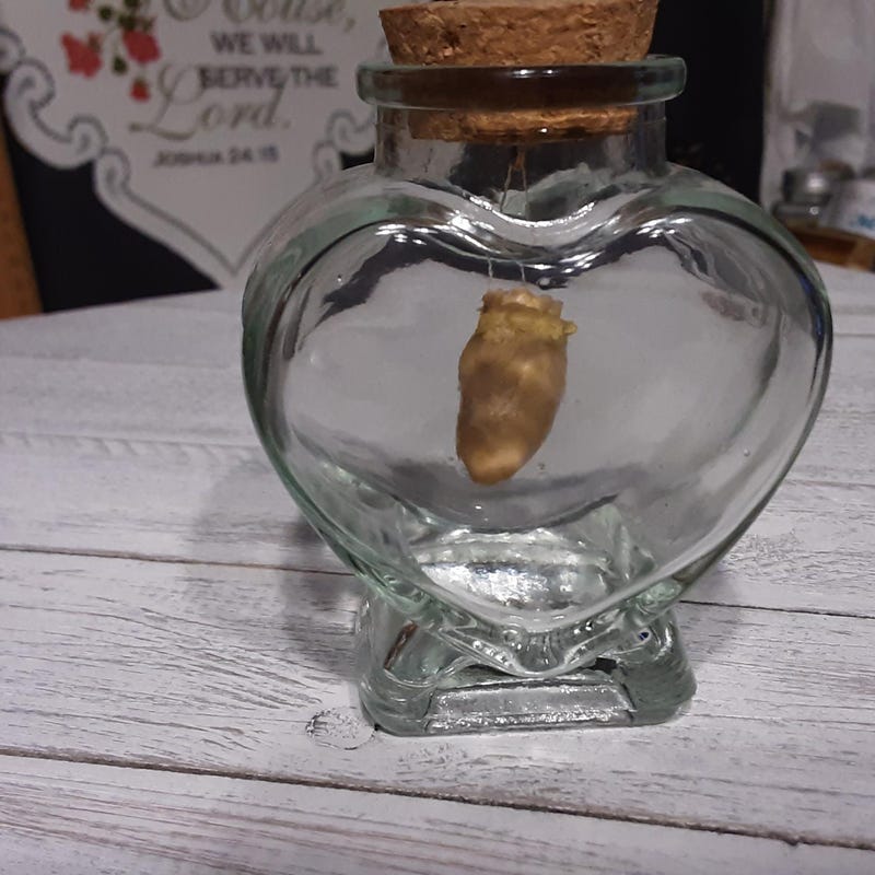 FurEverFlowersCrafts - Etsy