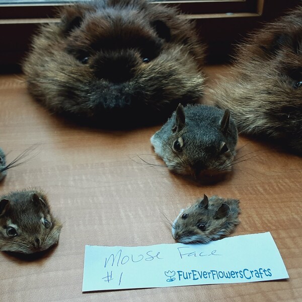 Fur Face - Etsy
