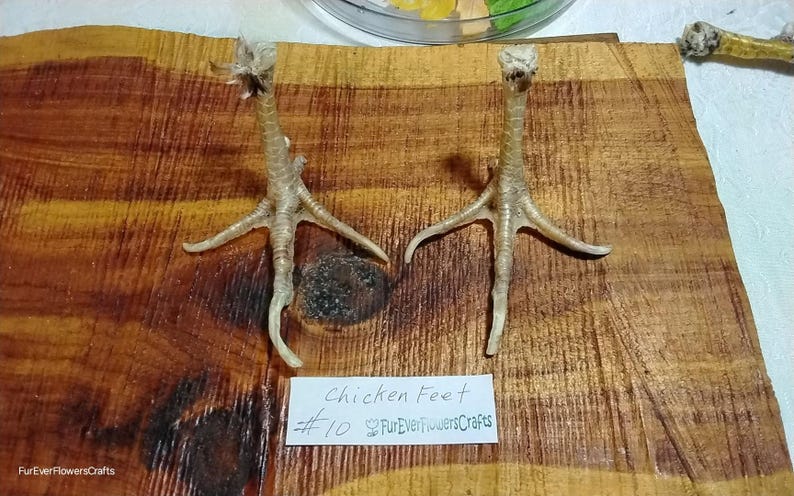 Real Chicken Feet/real/bird Feet/chicken Claws/chicken Foot/bird Claws ...
