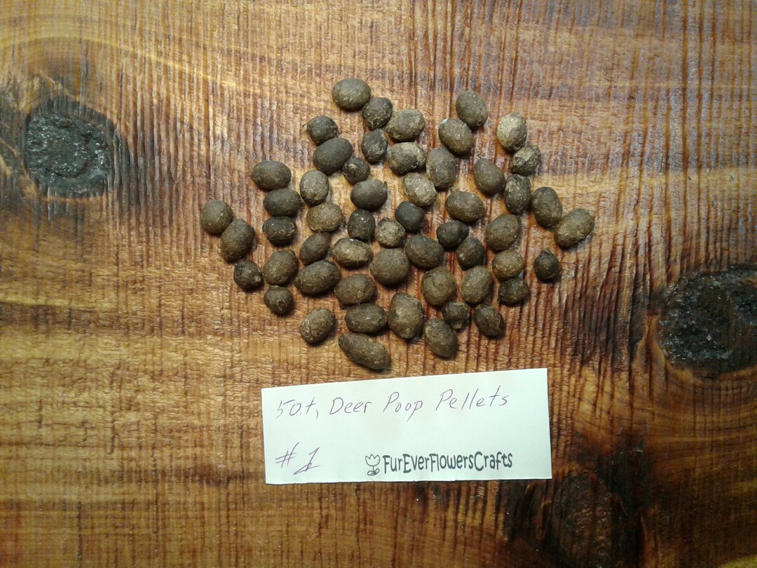 Real Wild Deer Poop/dehydrated Manure/curio/50+ - Etsy