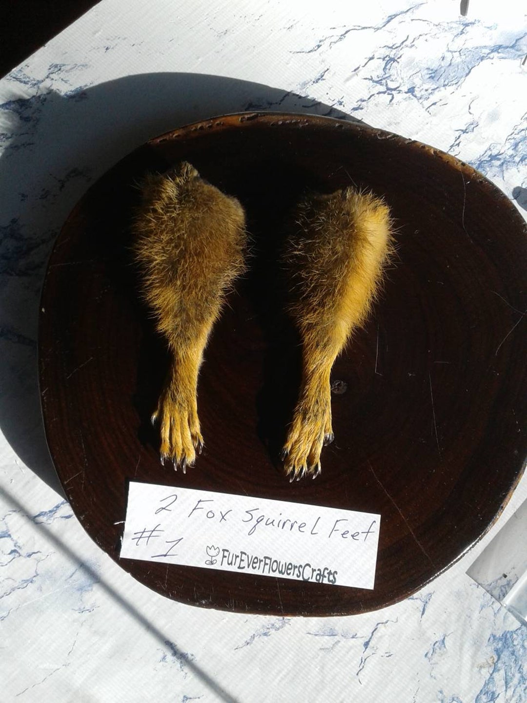 Squirrel Feet/fox Sqrirrel/2 Feet/squirrel Foot/ - Etsy