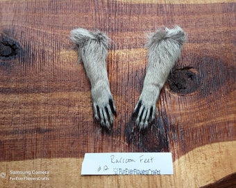 Opossum Feet/opossum Claws/2 Feet/opossum Parts - Etsy