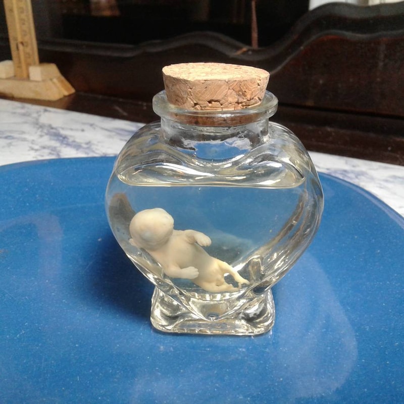 Wet Specimens - Etsy