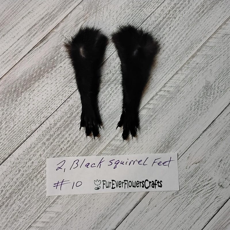Squirrel Feet - Etsy