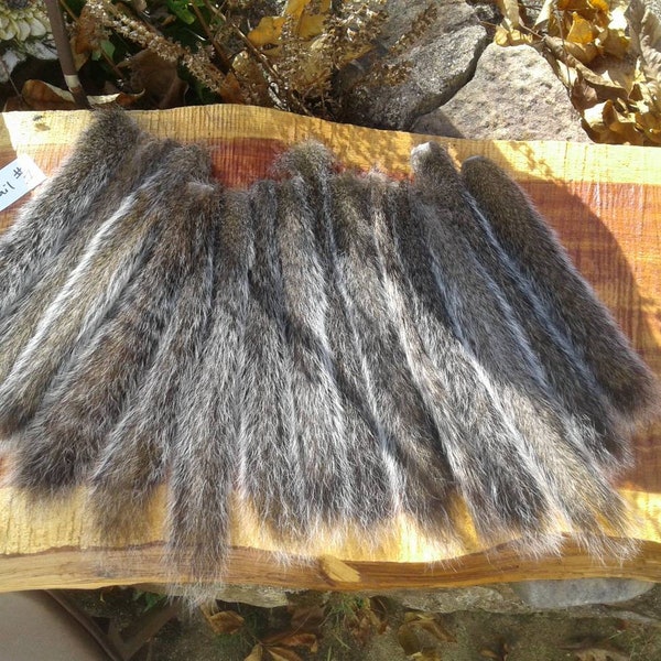 Squirrel Tail - Etsy