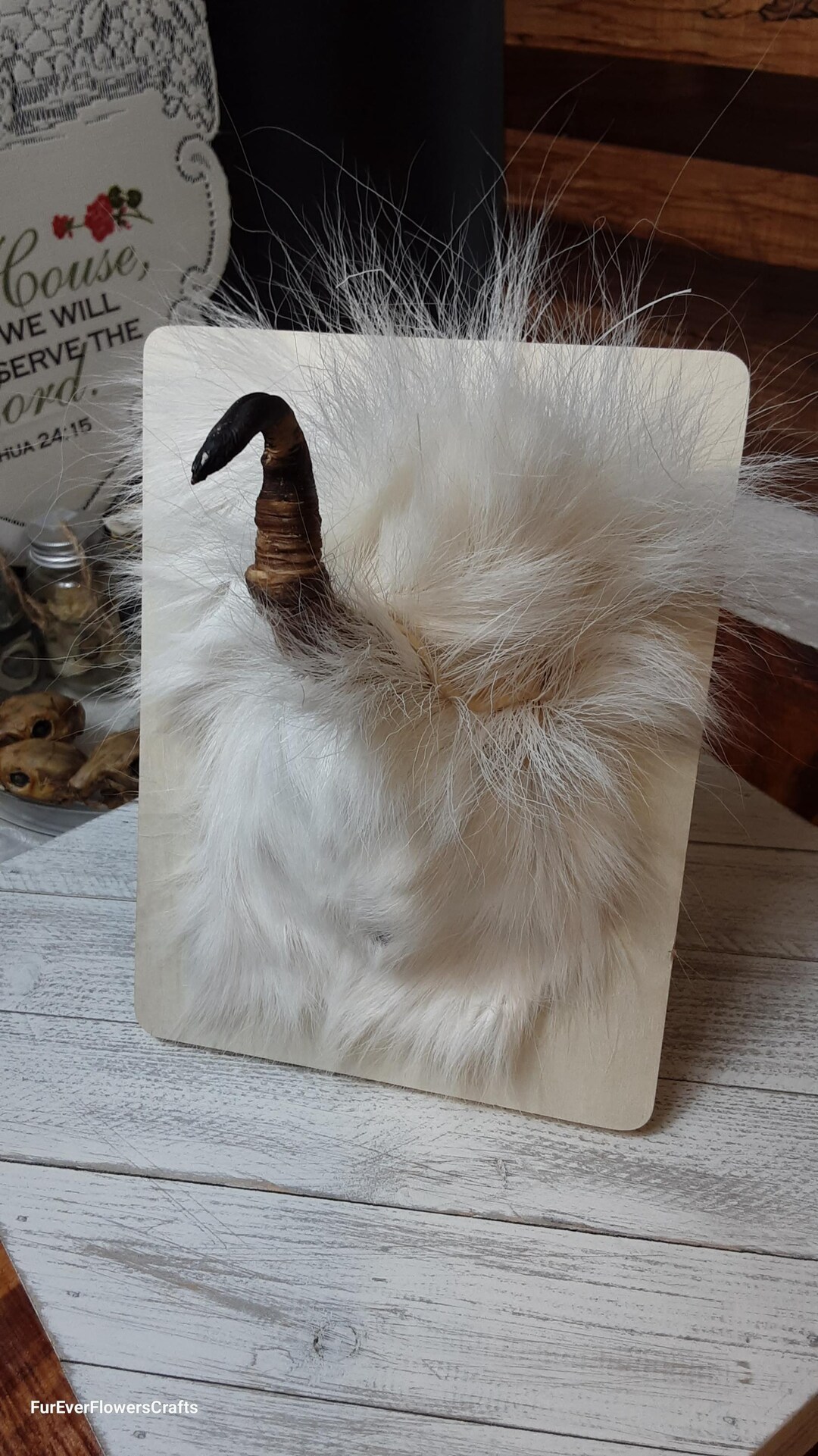 Deer Penis Plaque/wood Frame/ - Etsy
