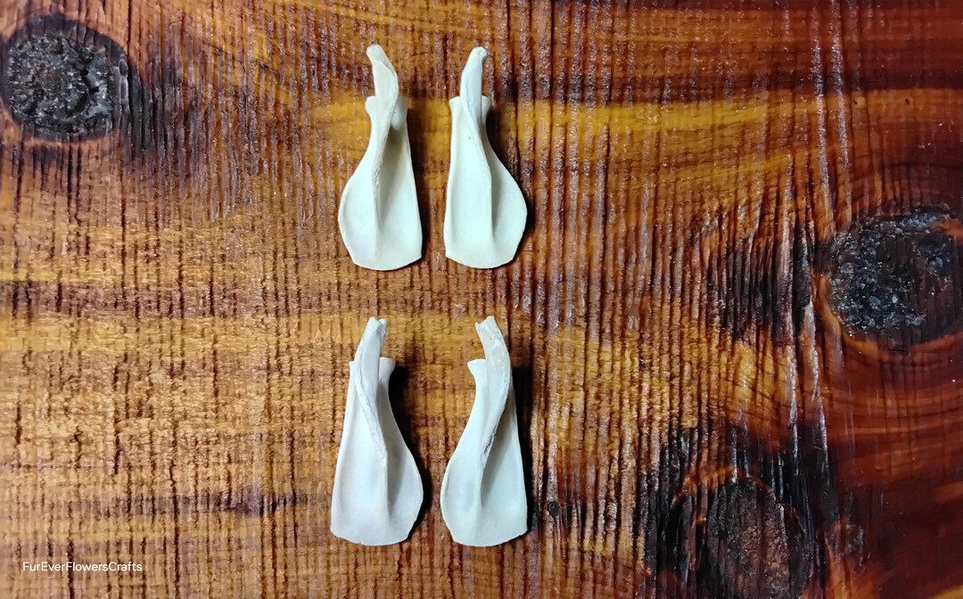 Beaver Bones/9 Leg Bones/ulna Bones/beaver Bones/real Bones/jewelry ...
