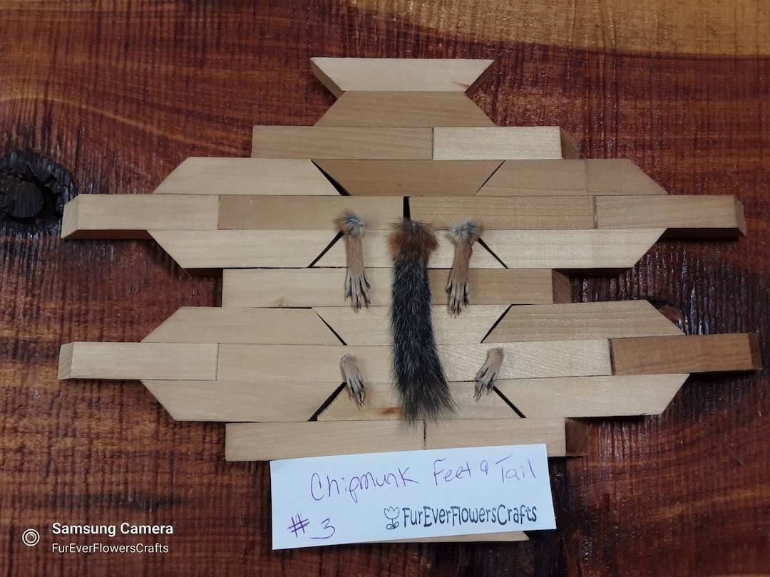 Chipmunk Feet and Tail/4 Feet, 1 Tail/foot/feet/real - Etsy