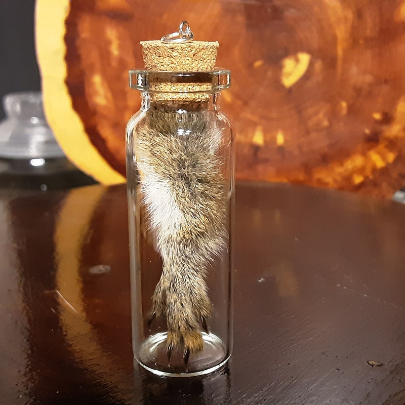 Squirrel Feet - Etsy