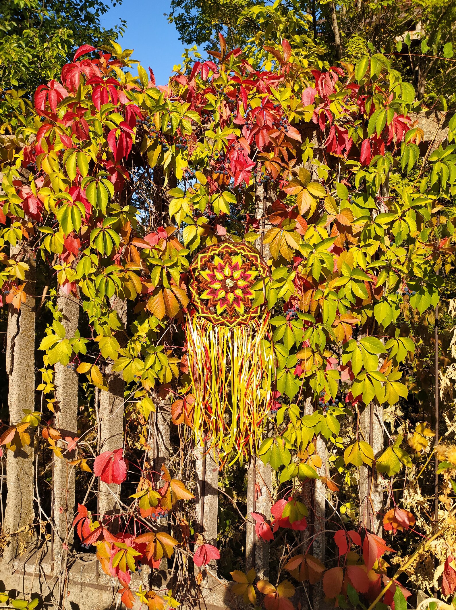 Mandala in Deep Forest - Etsy