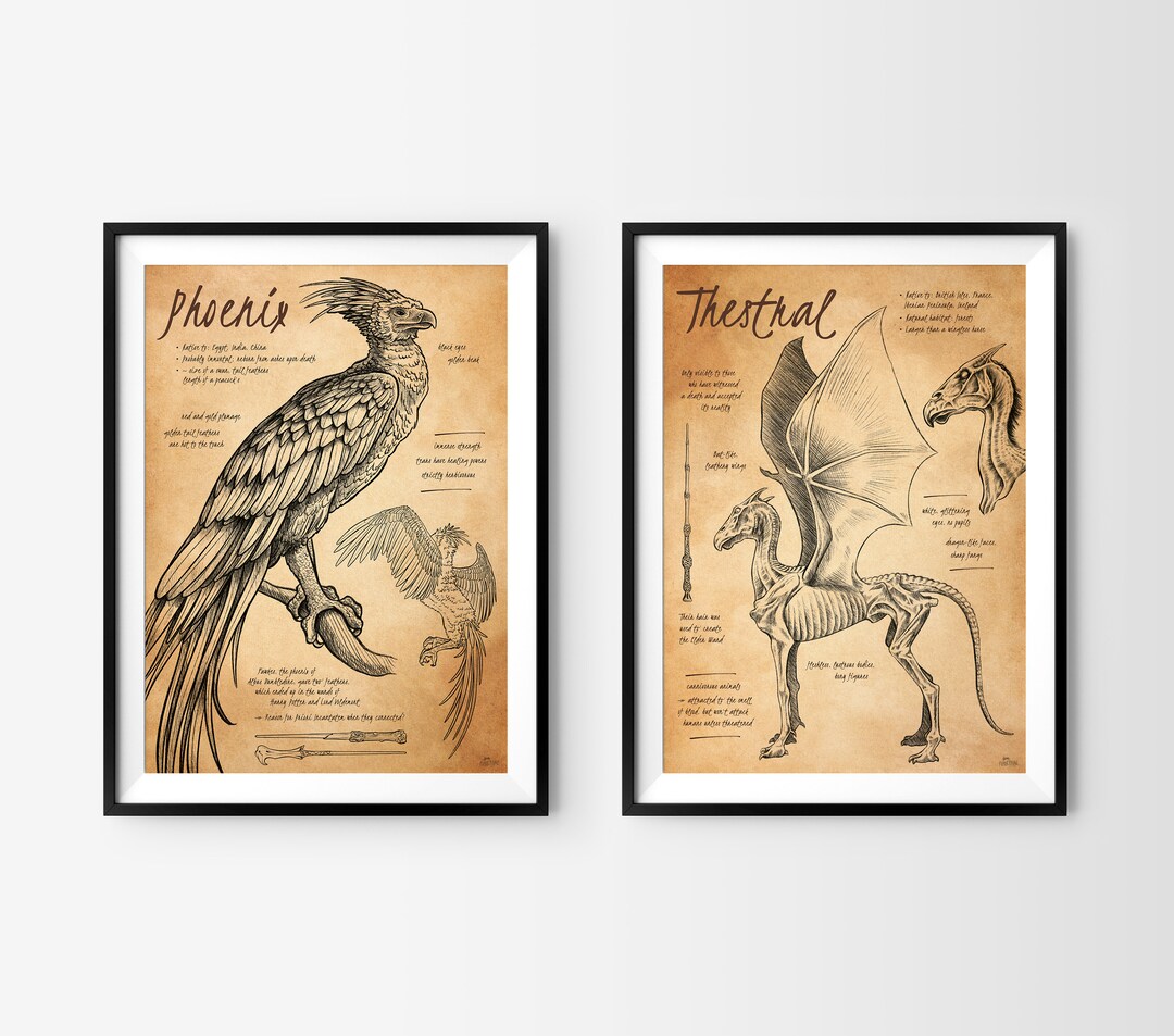 A4 Art Print "enchanting Creatures 2" | Hand-drawn Magical Creatures in ...