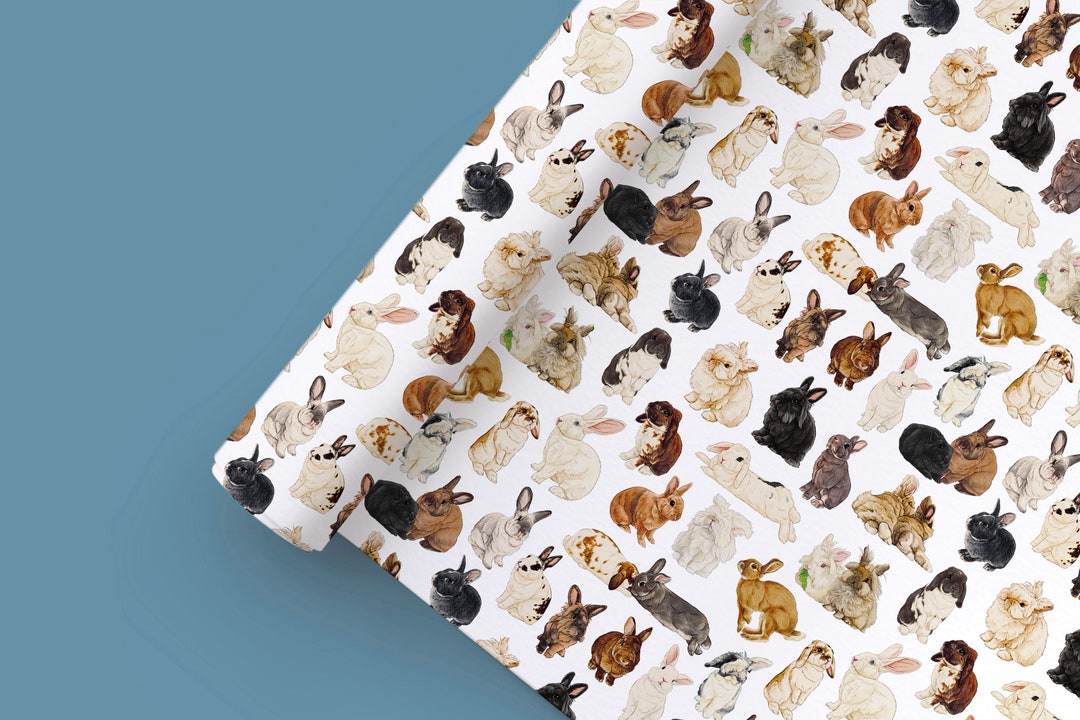 Bunny Gift Wrap | Cute Hand-drawn Rabbits | 50x70cm | Eco-friendly ...