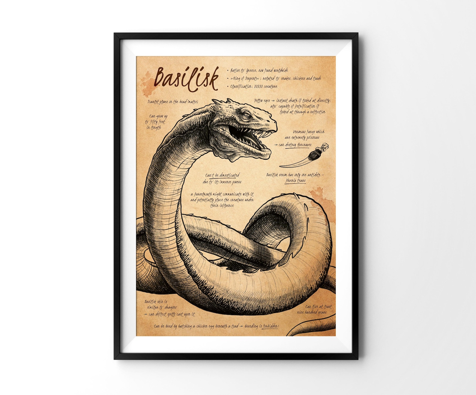 A4 Art Print "enchanting Creatures 6" | Hand-drawn Magical Creatures in ...