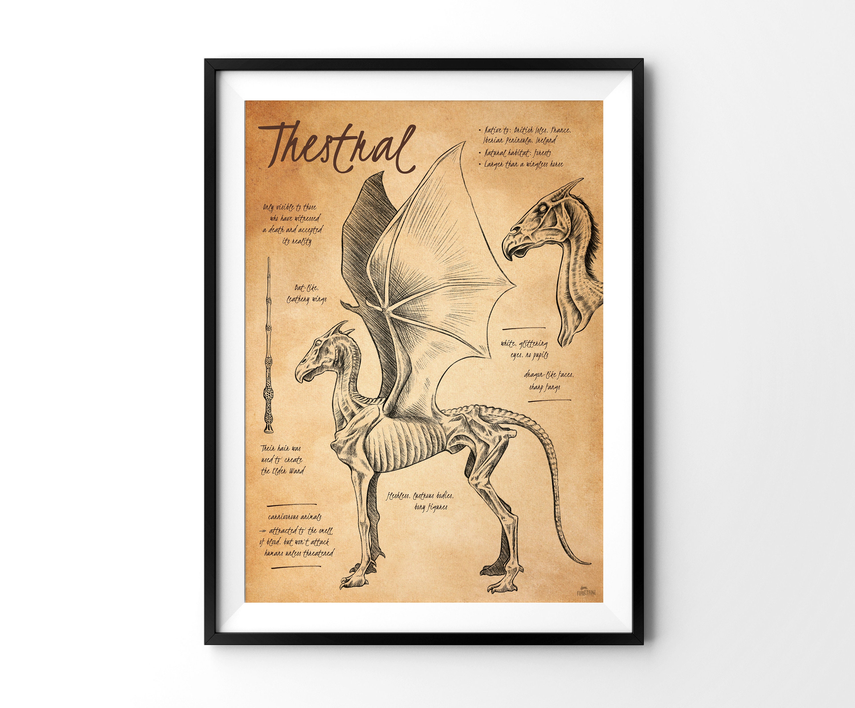 Art Print "enchanting Creatures 2" | Hand-drawn Magical Creatures in ...