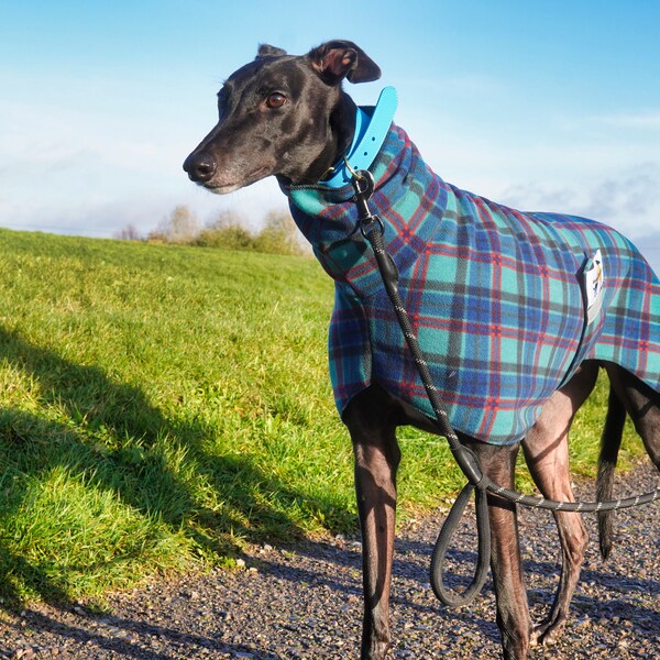Greyhound Coats - Etsy UK