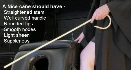 Spanking Cane Headmaster School Style Crook-handled Cane - Etsy UK