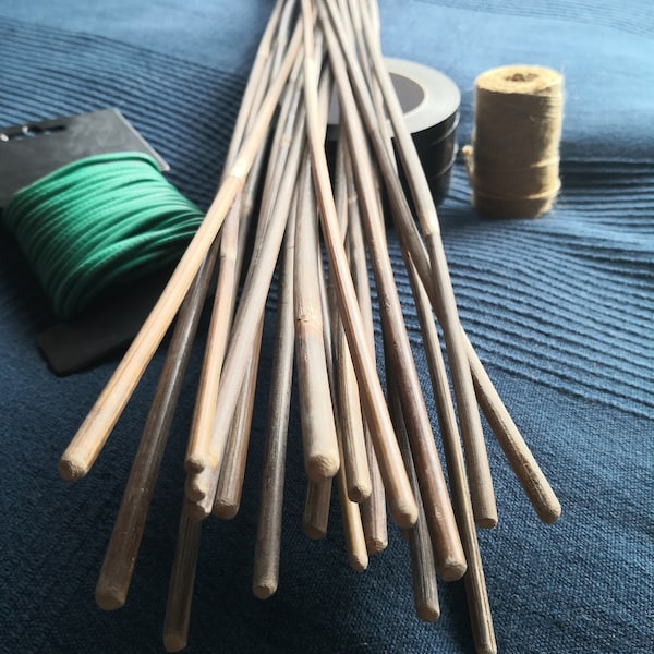 Birch Rods Spanking - Etsy