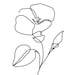May Birth Flower One Line Art, Digital Download, Lily of the Valley ...