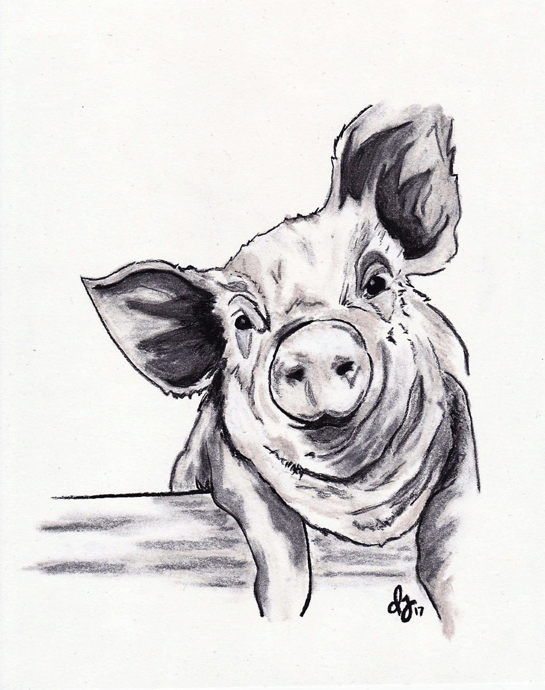 Realistic Pig Face Drawing