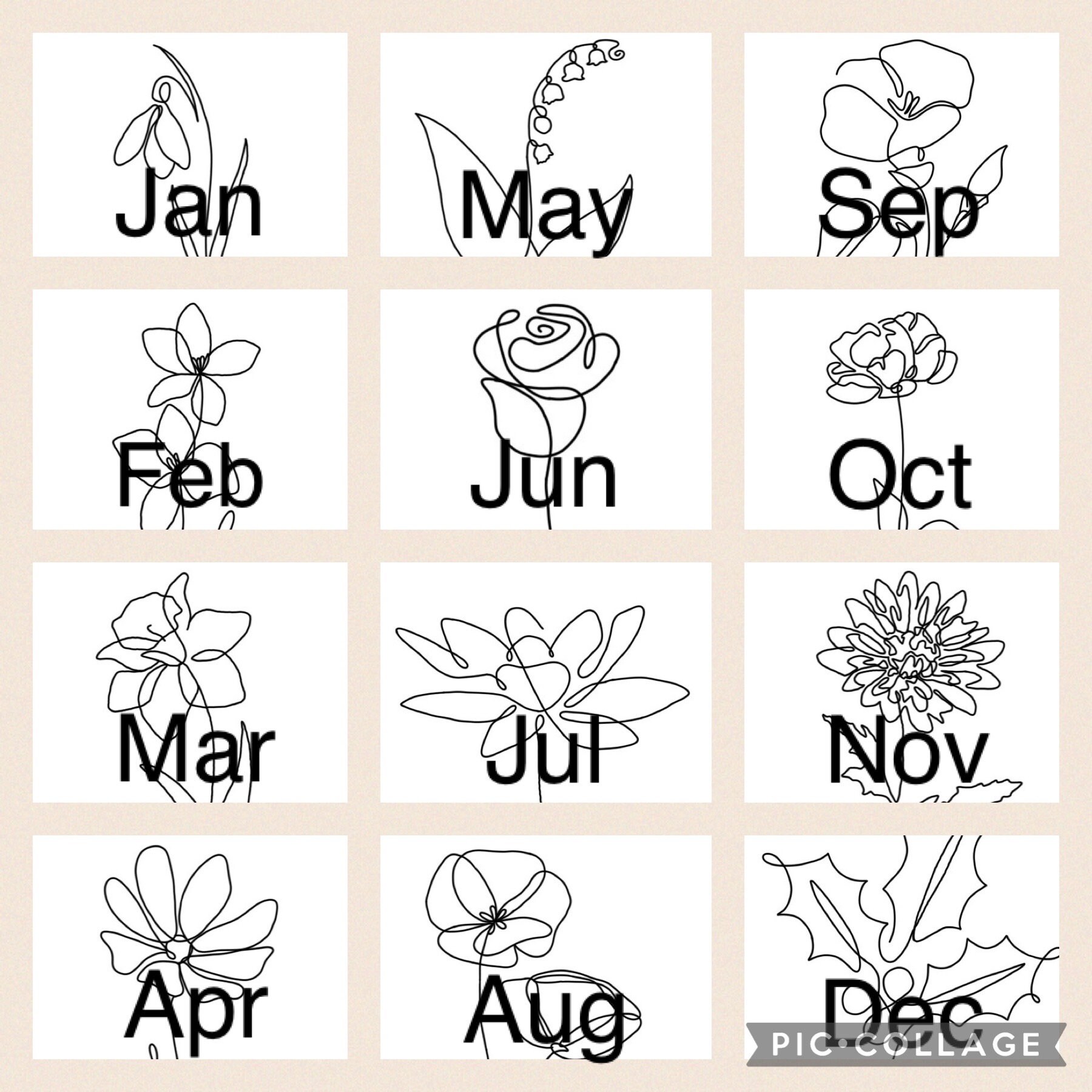 November Birth Flower One Line Art, Digital Download, Chrysanthemum ...
