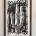 Saguaro Cactus Print: Black and White Southwestern Desert Art - Etsy