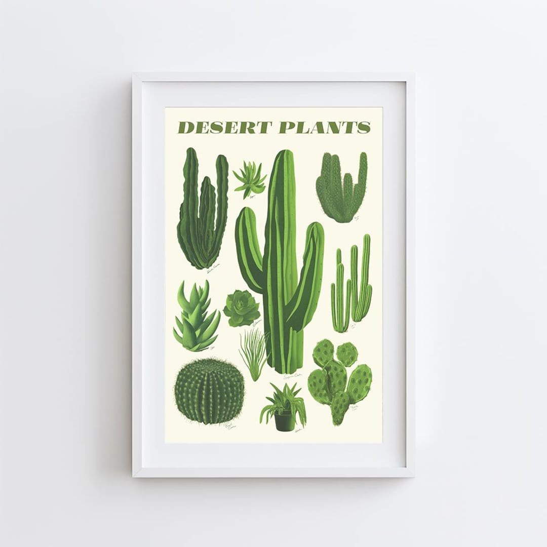 Desert Plants Wall Art Print – Cactus and Succulent Botanical Poster ...