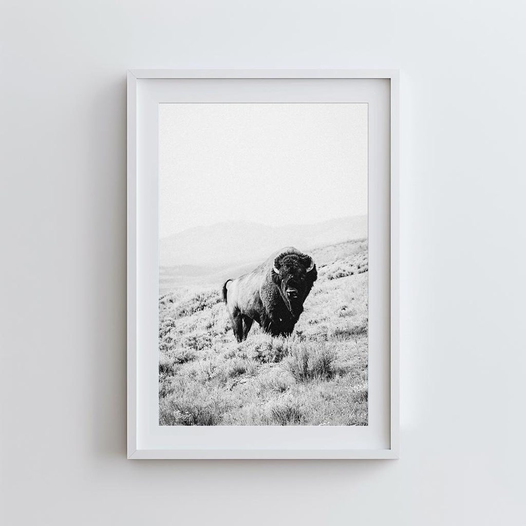Black and White Bison Print: Southwestern Boho Wall Art - Etsy