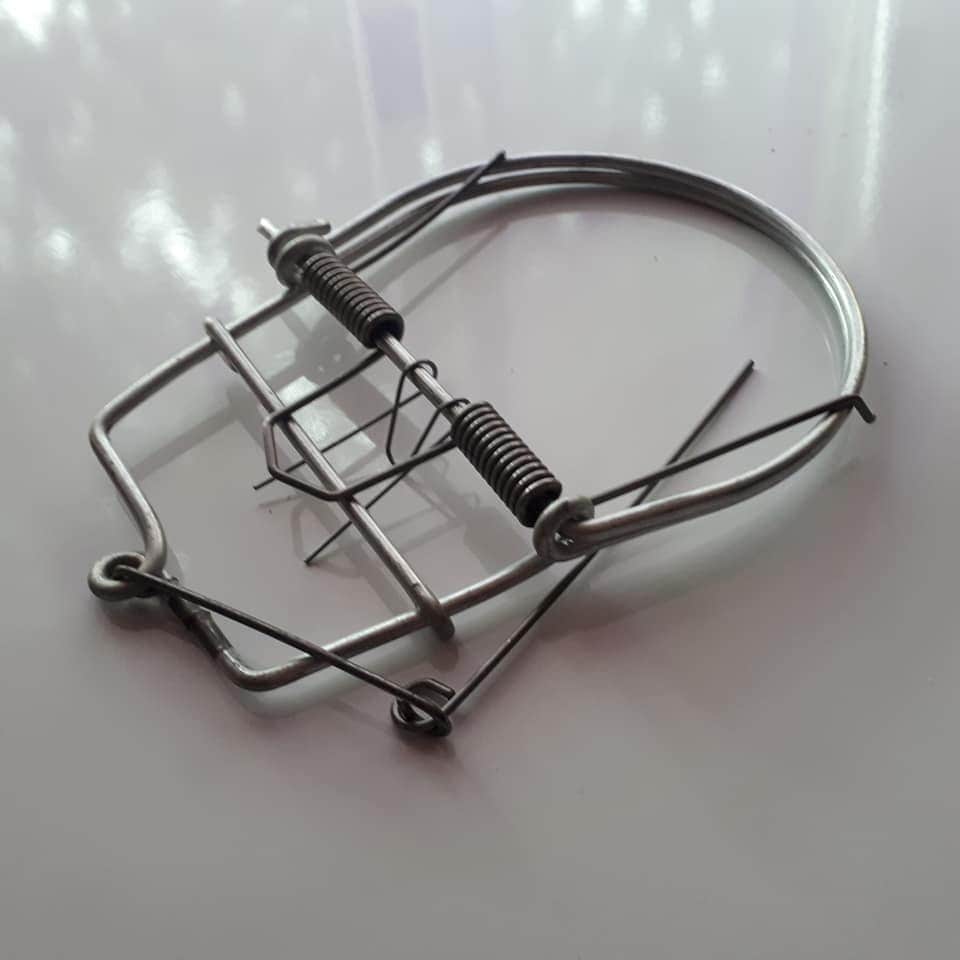 Mouse Trap Spring Rat Weasel Catch Snap Trap Mice Pest Control Hunting ...