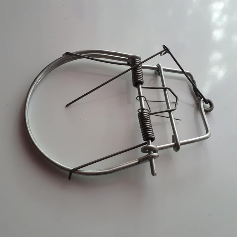 Mouse Trap Spring Rat Weasel Catch Snap Trap Mice Pest Control Hunting ...