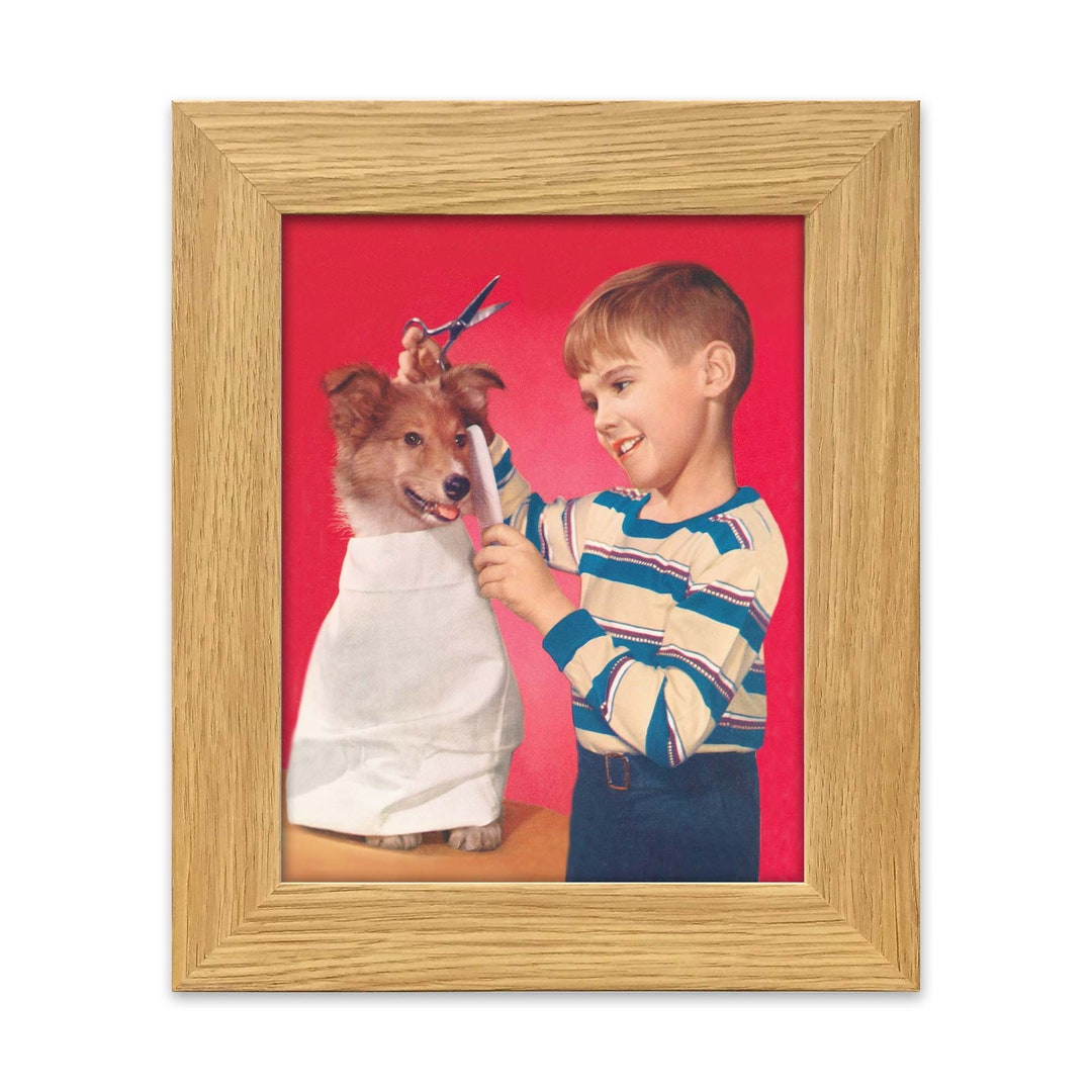 Dog Getting Haircut, Boy With Dog, Barber Shop Decor, Dog Grooming Art ...
