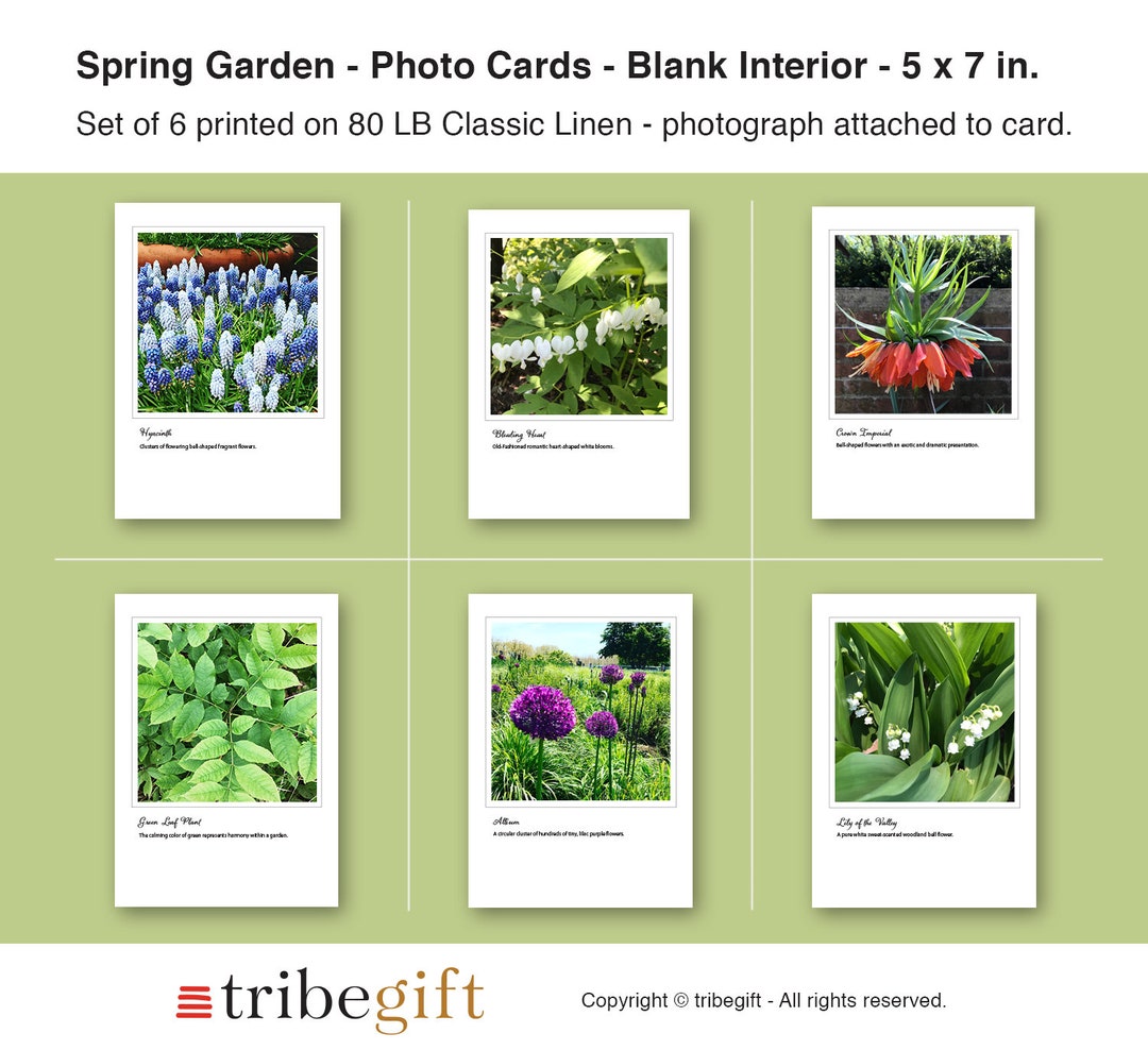Spring Garden Photo Note Cards, Set of 6, PRINTED PRODUCT, Gardening ...