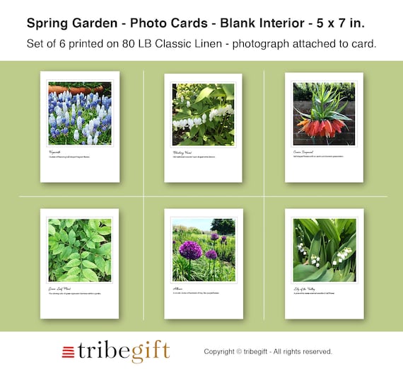 Spring Garden Photo Note Cards Set of 6 PRINTED PRODUCT - Etsy