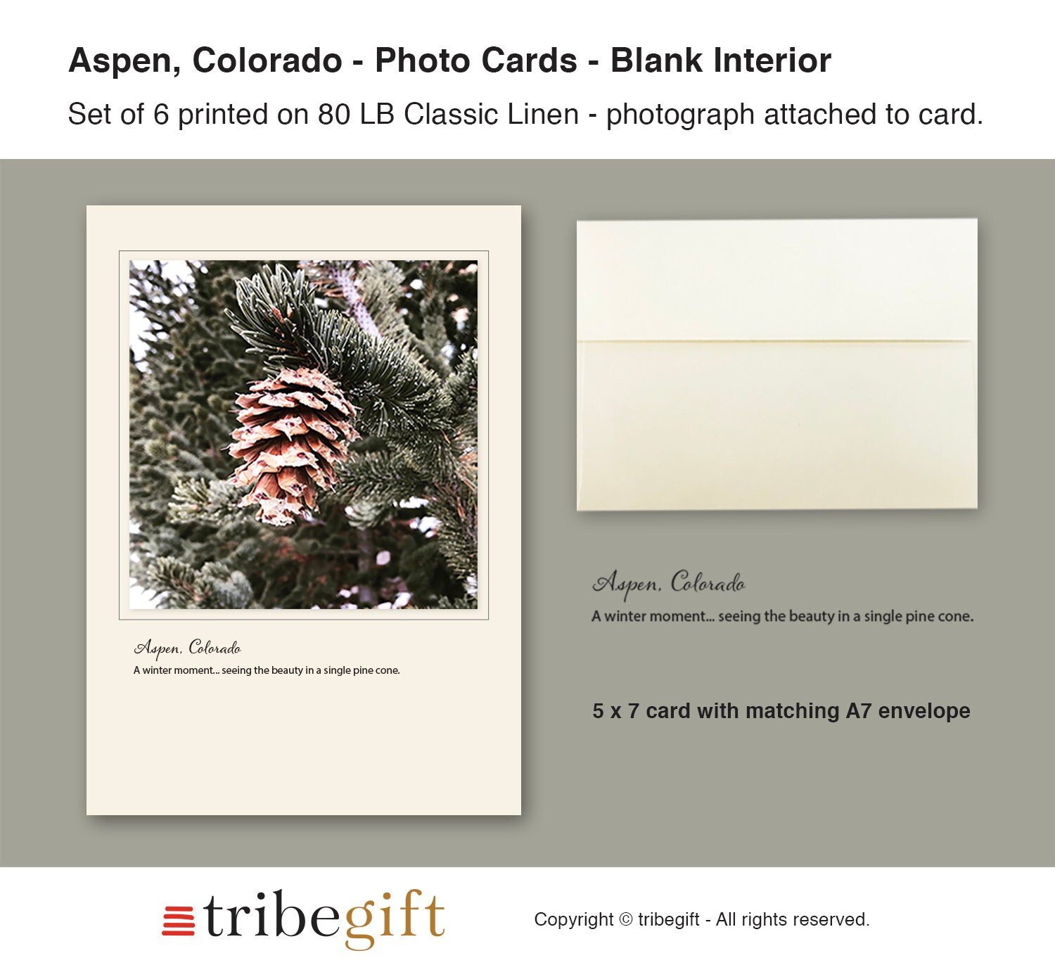 Aspen Photo Note Cards Set of 6 PRINTED PRODUCT All - Etsy