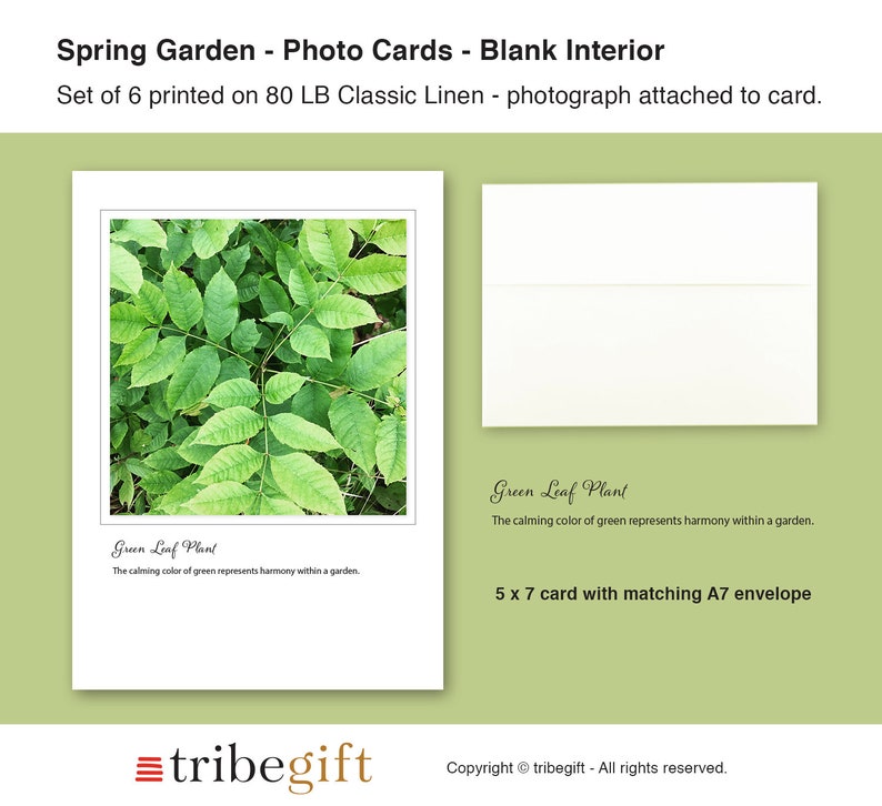 Spring Garden Photo Note Cards, Set of 6, PRINTED PRODUCT, Gardening ...