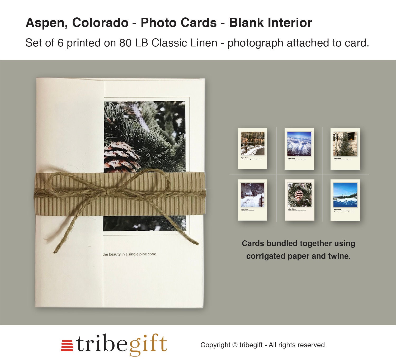 Aspen Photo Note Cards Set of 6 PRINTED PRODUCT All - Etsy