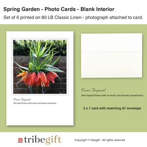 Spring Garden Photo Note Cards, Set of 6, PRINTED PRODUCT, Gardening ...