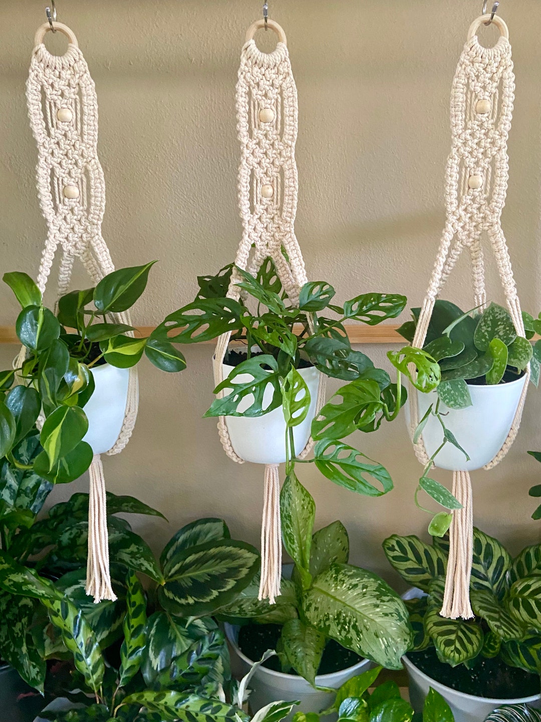Colgante de Planta Macrame 'Brooklyn' - Etsy España