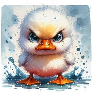 14 Angry Duck Clipart, Angry Duck PNG, Angry Duck JPG, Watercolor Angry ...