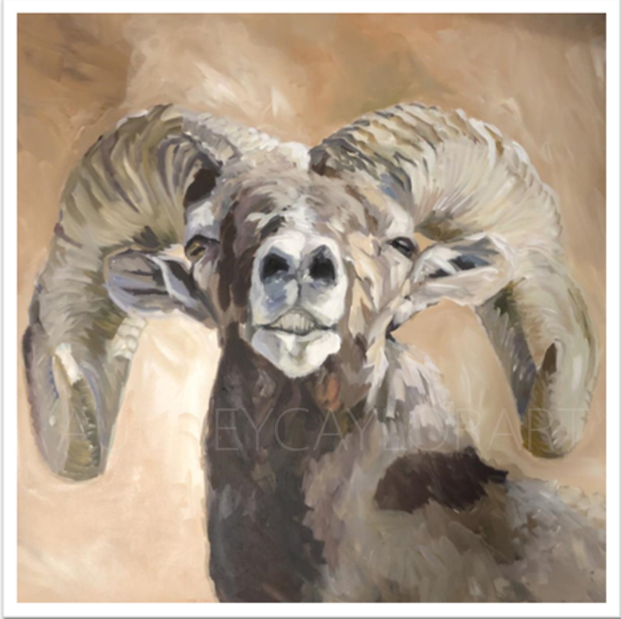 Ram Print Sheep Print Ram Wall Art Ram Wall Decor Big Horn - Etsy UK