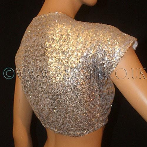 SILVER BELLY DANCE Costume,crop Top - Etsy
