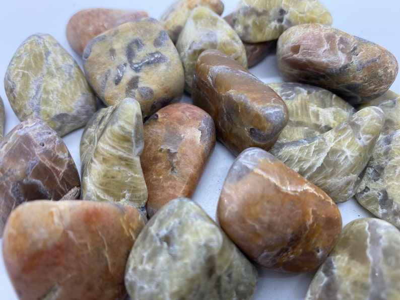 Zebradorite Tumbled Natural Graphic Feldspar Soulshine | Etsy