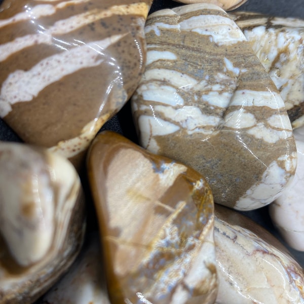 Brown Zebra Jasper - Etsy