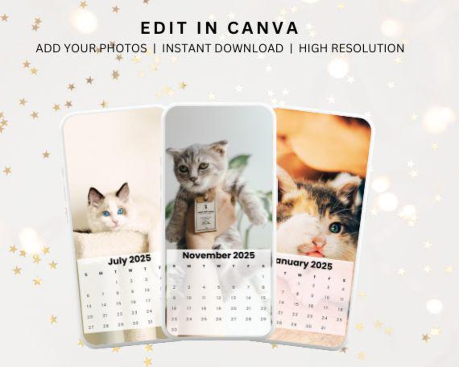 2025 Cat-themed Digital Calendar | Cute Cat Photos | Customisable Cat ...