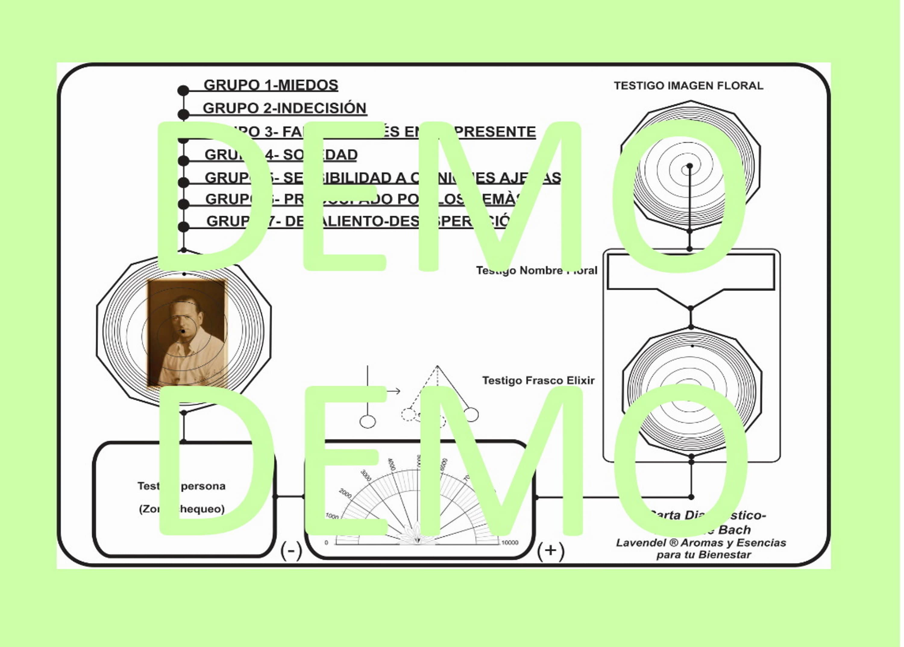Pendulum Dowsing Chart of Bach Flowers-radionics Table-radionic Table ...