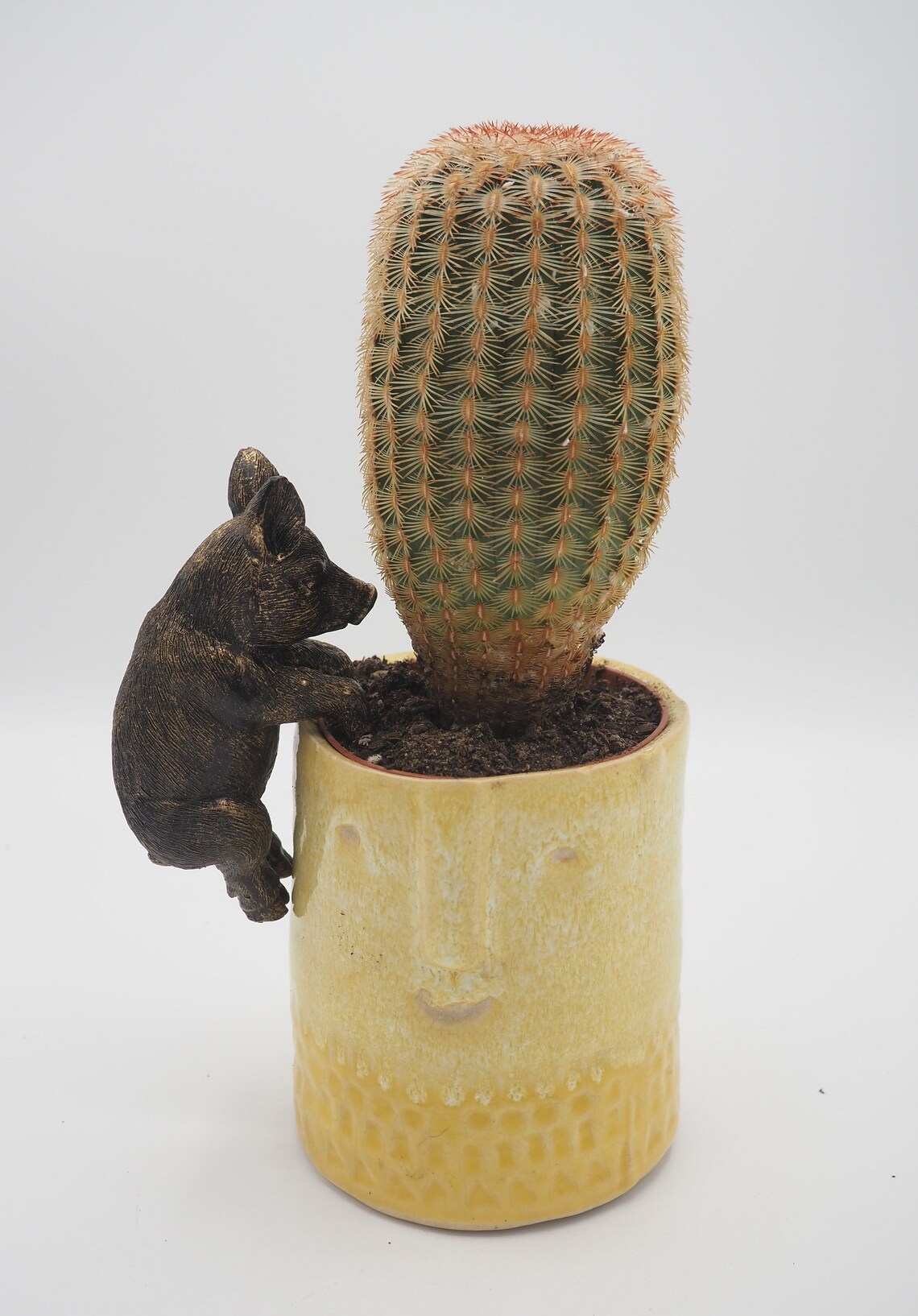 Pig Pot Buddies Plant Hanger - Etsy