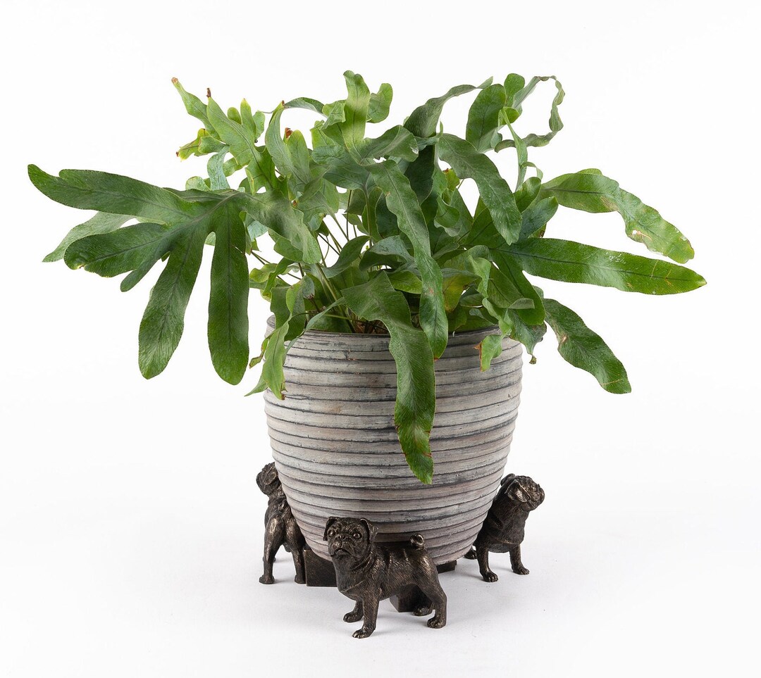 Bronze Coloured Pug Potty Feet, Set of 3, Plant Pot Stand, Plant Pot ...